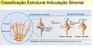 Sistema Articulatório - Anatomia.pptx