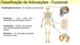 Sistema Articulatório - Anatomia.pptx