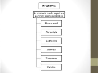 Sistema bethesda | PPTX