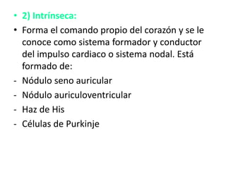 Sistema cardiaco | PPTX