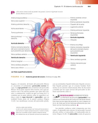 sistema cardiaco anatomía y fisiologia (1).pdf