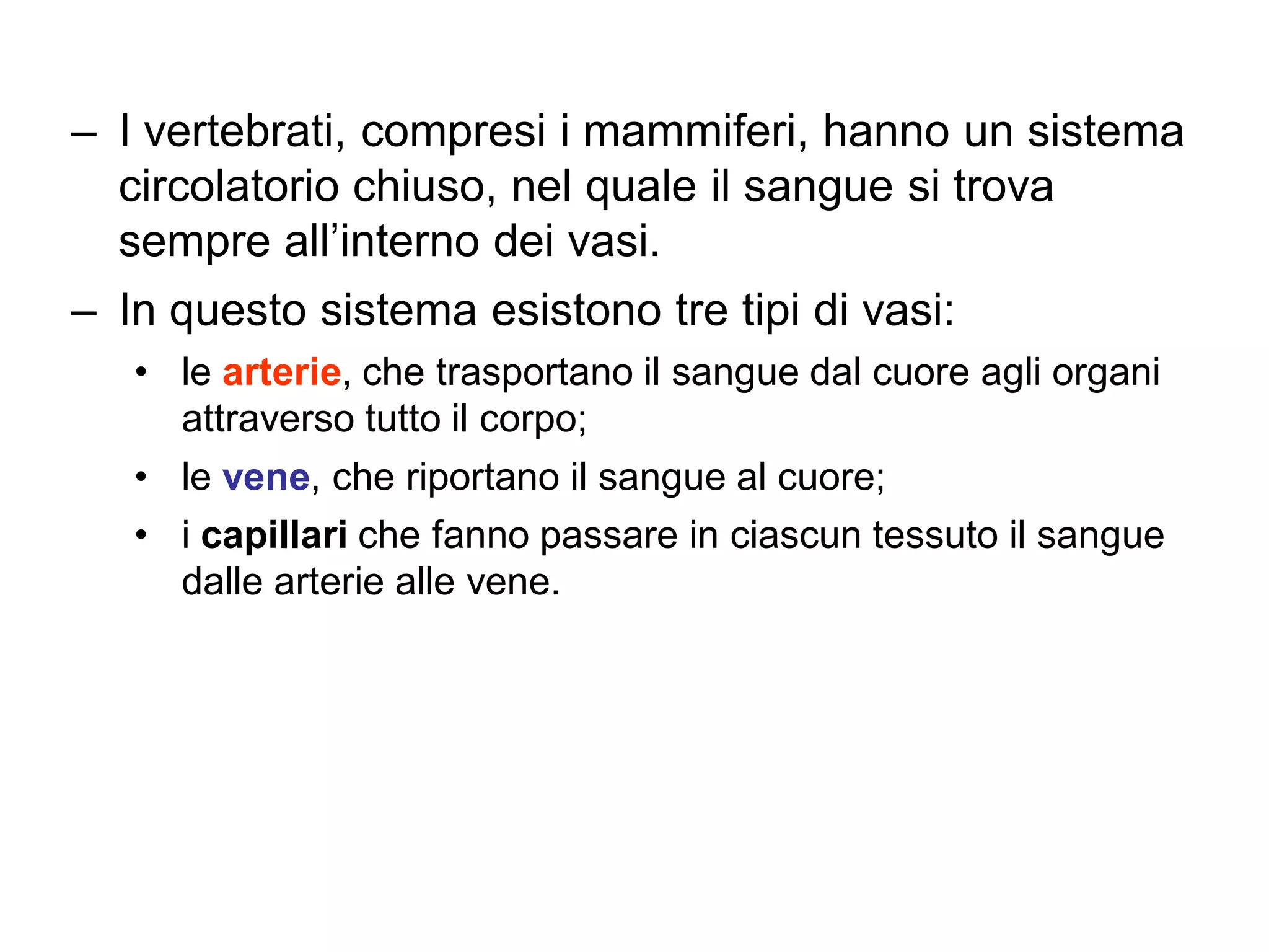 Sistemacardiocircolatorioclasseterza | PDF