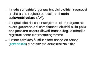 Sistemacardiocircolatorioclasseterza | PDF
