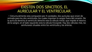 Sistema cardiorespiratorio | PPTX
