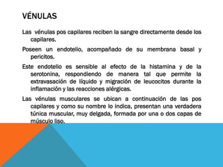 Sistema cardiovascular | PDF