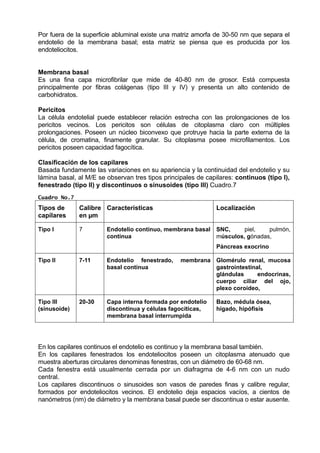 Sistema cardiovascular | PDF