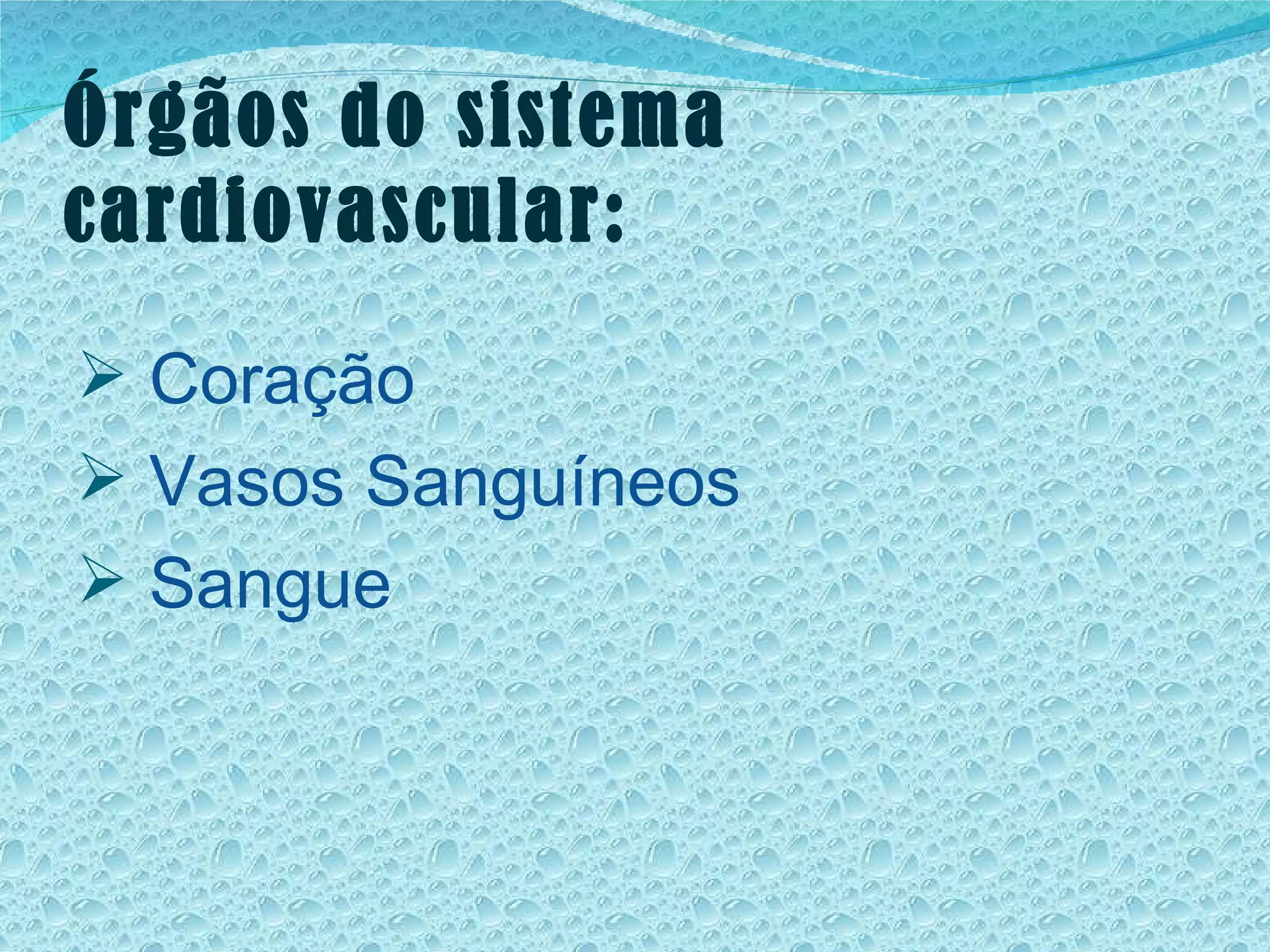 Sistema cardiovascular | PPT