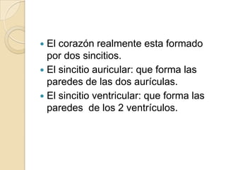 Sistema cardiovascular | PPTX