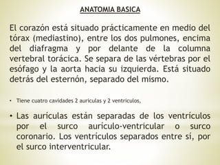 Sistema Cardiovascular | PPTX