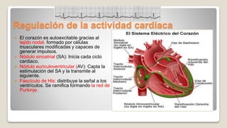 SISTEMA CARDIOVASCULAR DEL CUERPO HUMANO | PPTX