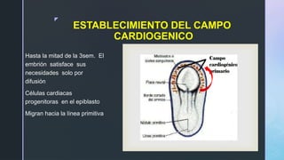 SISTEMA CARDIOVASCULAR.embrio langaman 15 ava edicion | PPTX