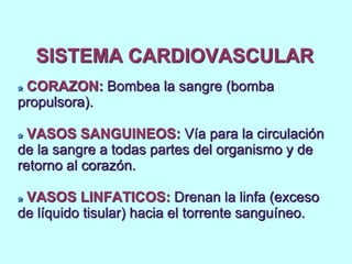 Sistema cardiovascular histologia unr.ppt