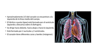 SISTEMA CARDIOVASCULAR ANATOMÍA Y FISIOLOGÍA.pptx
