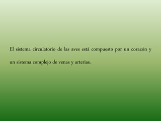 Sistema cardiovascular aviar | PPTX
