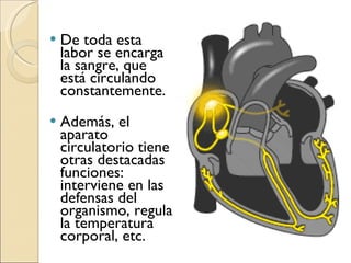 Sistema circulatorio | PPT