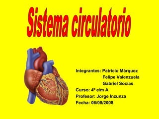 Sistema circulatorio | PPT