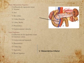 Sistema circulatorio (Siistema Venoso y Arterial) | PPT