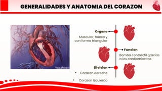 Sistema circulatorio.pptx