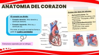 Sistema circulatorio.pptx
