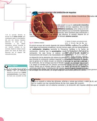 Sistema Circulatorio, la Naturaleza del cuerpo humano.docx