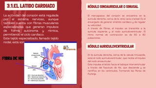 SISTEMA CIRCULATORIO: ANATOMÍA Y FISIOLOGÍA.pdf