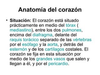 Sistema circulatorio | PPT