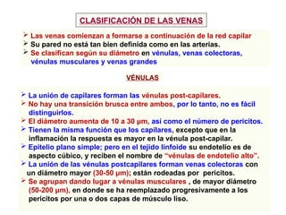 EL_SISTEMA_CIRCULATORIO_En Diapositiva.ppt