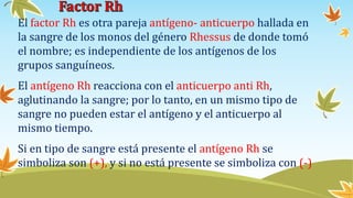 Sistema circulatorio humano | PPTX