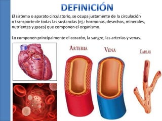 Sistema circulatorio psf | PPT