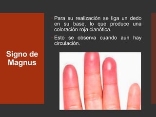 Sistema circulatorio y pruebas forenses | PPTX