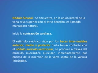 Sistema Conduccion Cardiovascular | PPT