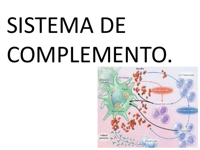 Inflamación y sistema de complemento