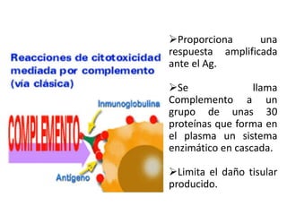 SISTEMA DE COMPLEMENTO vías en inmunidad innata | PPT