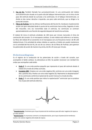 Sistema de conducción cardíaco | PDF