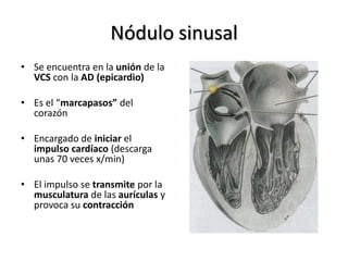 Sistema de conducción del corazón | PPTX