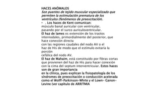 Sistema de conducción del corazón guadalajara | PPTX