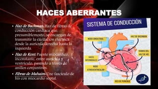 Sistema de conduccion | PPTX