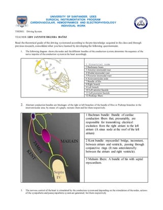 Sistema de conduccion | DOCX