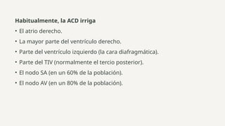 Sistema de conducción, irrigación y inervacion del corazón .pptx