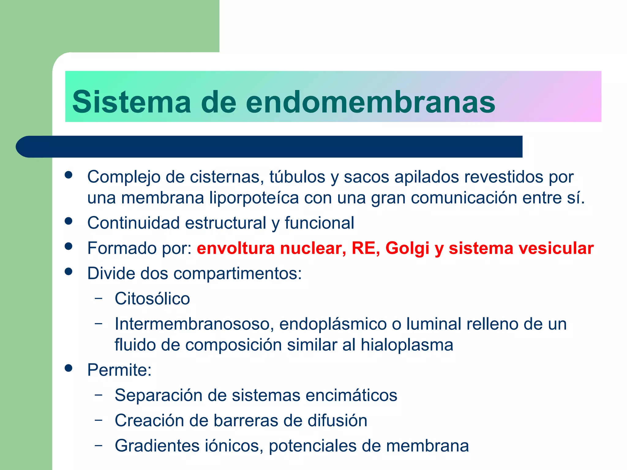 Sistema de endomembranas | PPT