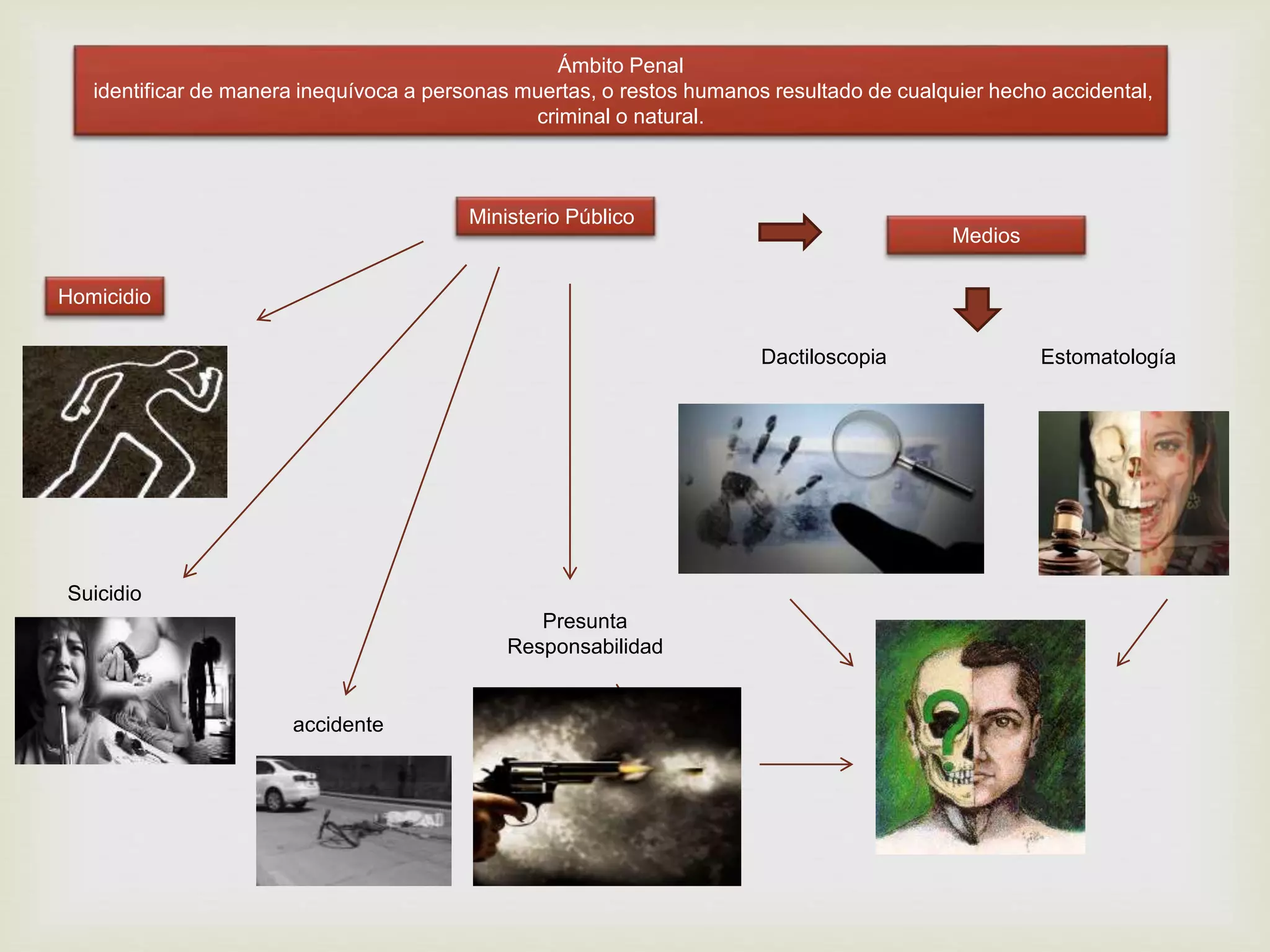 Sistema de identificación de personas vivas y muertas | PPT