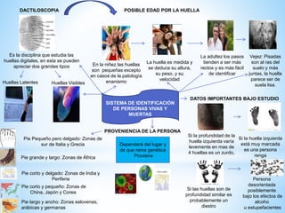 Sistema de identificacion de personas vivas y muertas | PPTX