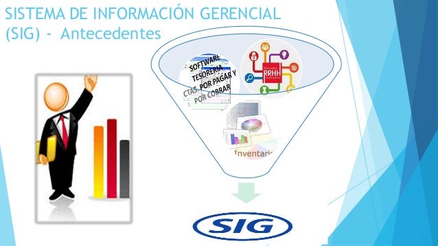 Sistema De Informacin Gerencial