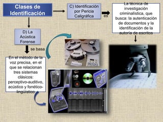 Sistema de investigacion de personas | PPTX