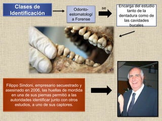 Sistema de investigacion de personas | PPTX