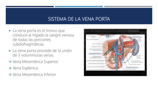 Sistema de la vena porta | PPTX