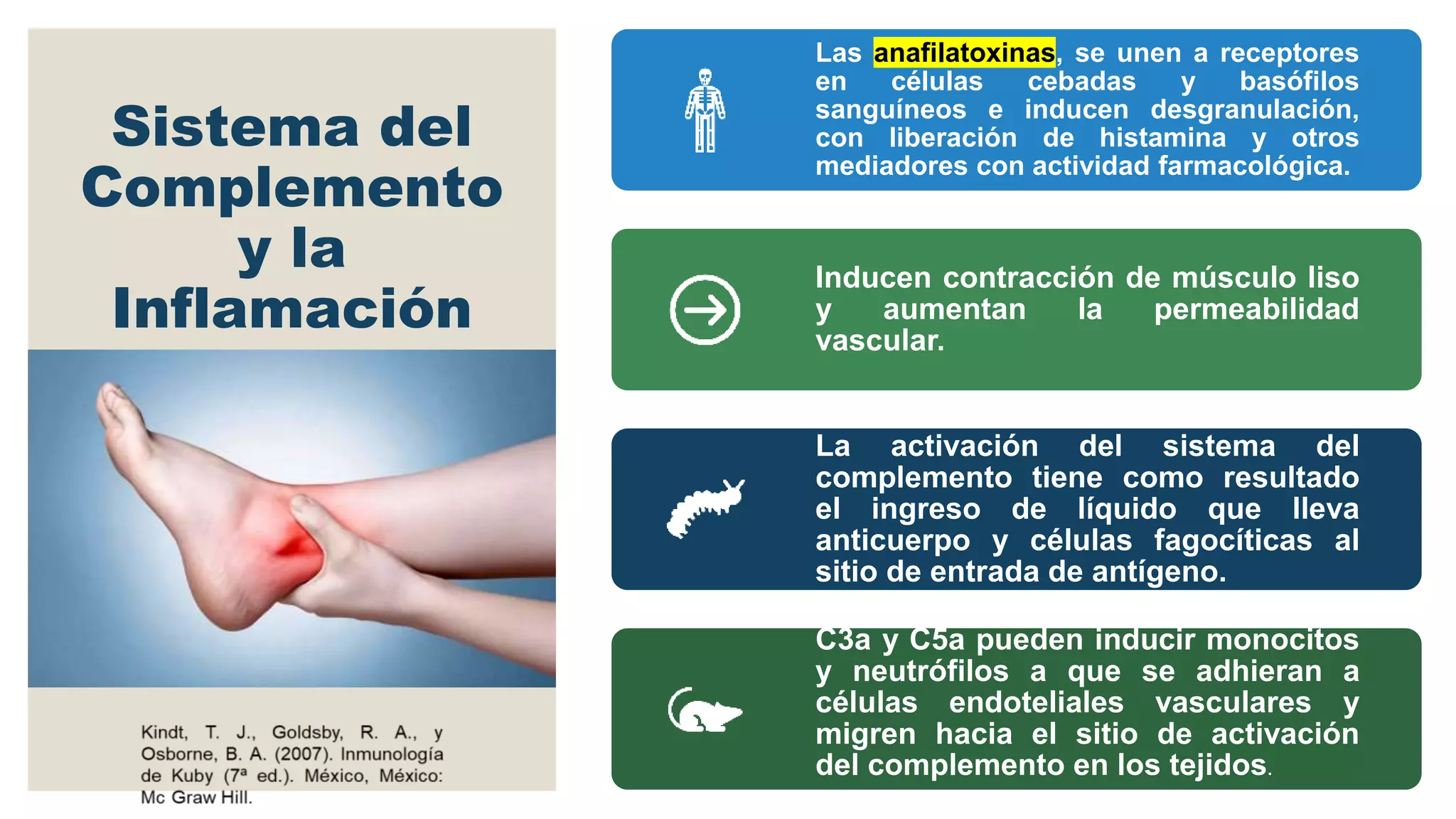 Sistema del complemento | PPT