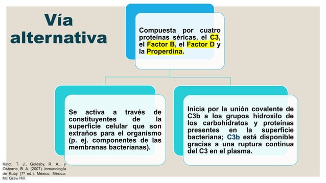 Sistema del complemento | PPT