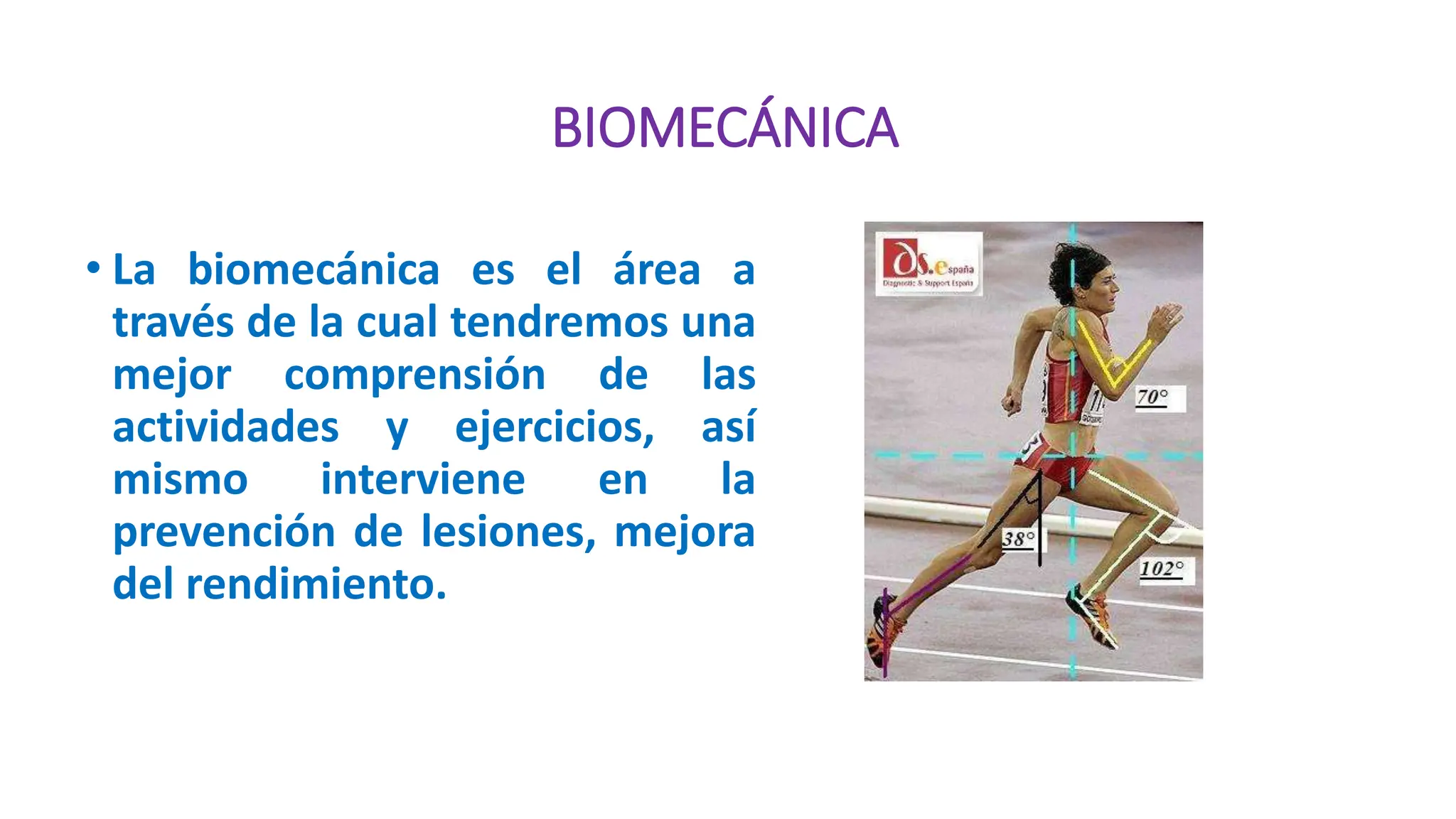 SISTEMA DE PALANCAS TERCERA SEMANA BIOMECANICA.pptx