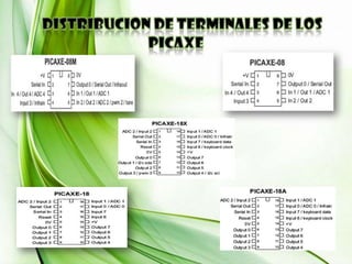 Sistema de picaxe | PPTX